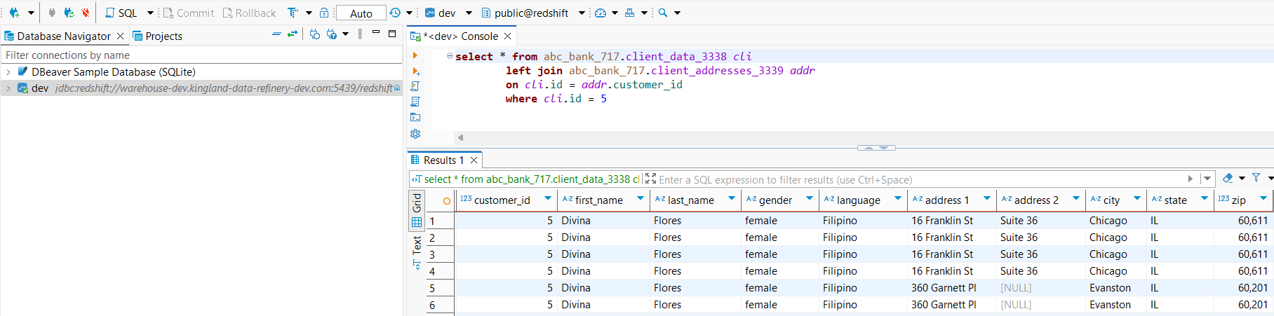 Query the Data Warehouse